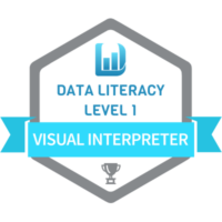 Visual Interpreter Objective Data Literacy Assessment | Data Literacy