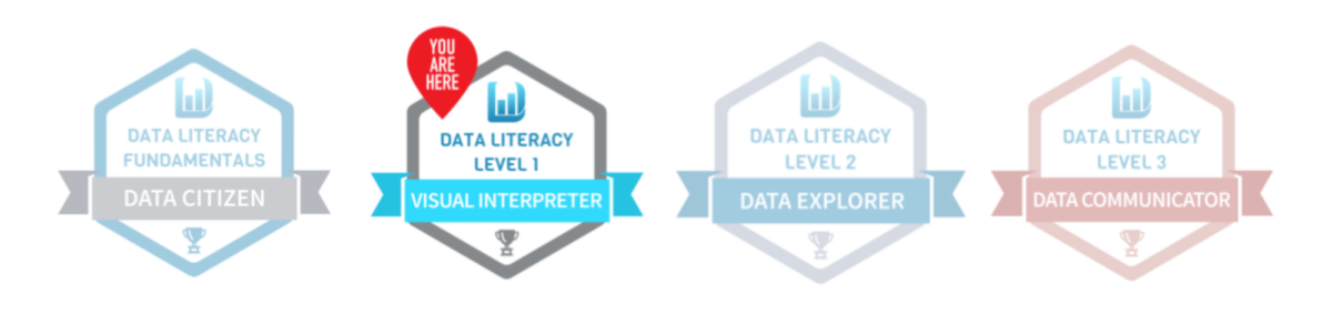 Visual Interpreter Placement Assessment | Data Literacy