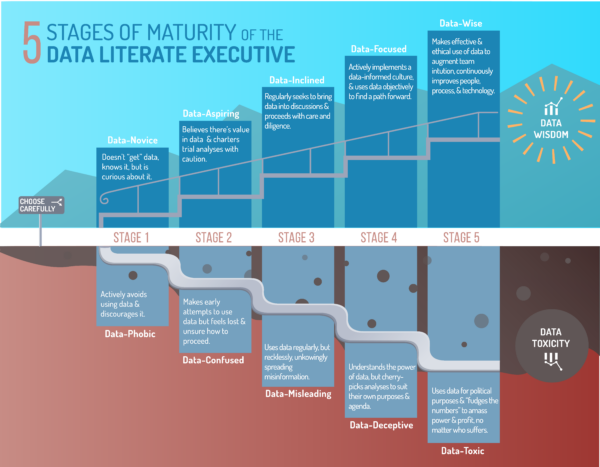Now Available for Pre-Order: Leading in the Age of Data | Data Literacy