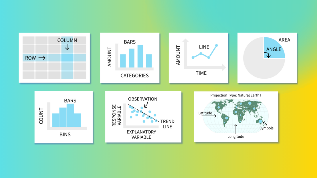 Data Literacy Level 1