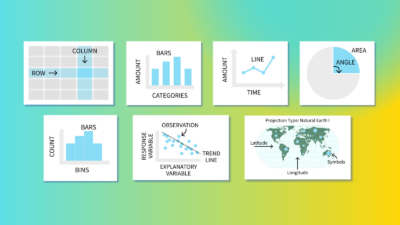Data Literacy Level 1